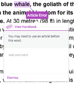 Adding comments to e-rater marks